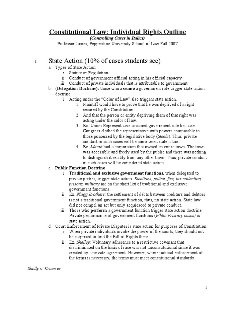 Con Law Individual Rights James | PDF | Overbreadth Doctrine | Standing ...
