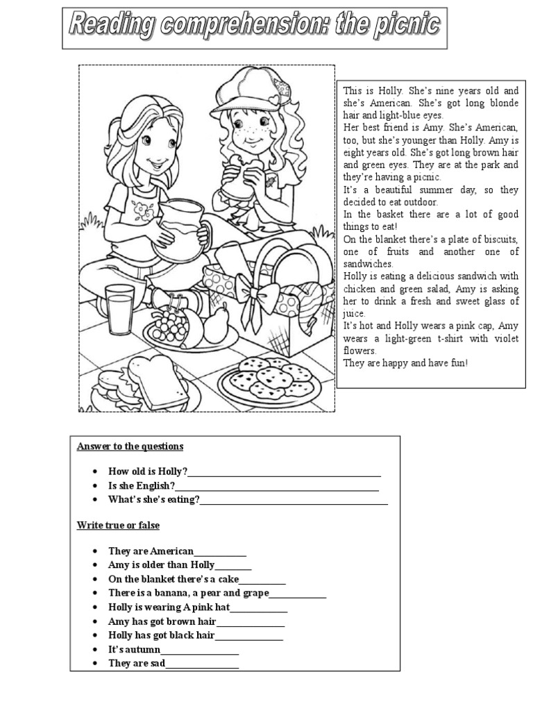 Reading Comprehension The Picnic | PDF | Wellness