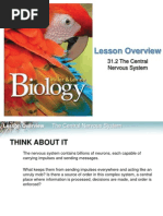 Grade 12 Notes | PDF | Autonomic Nervous System | Nervous System