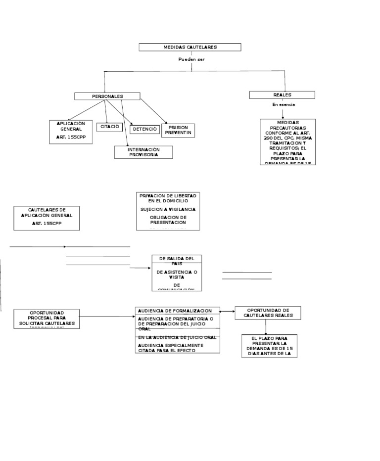 Mapa Conceptual CAUTELARES | PDF