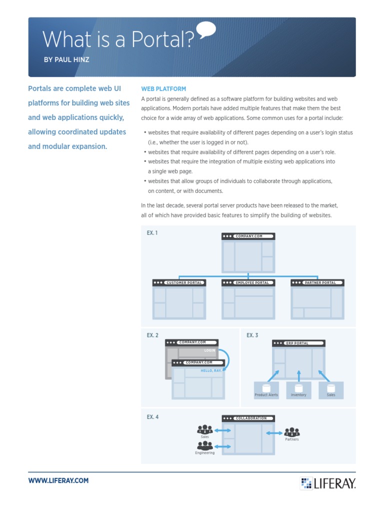 What Is A Portal? | PDF | Websites | Collaboration