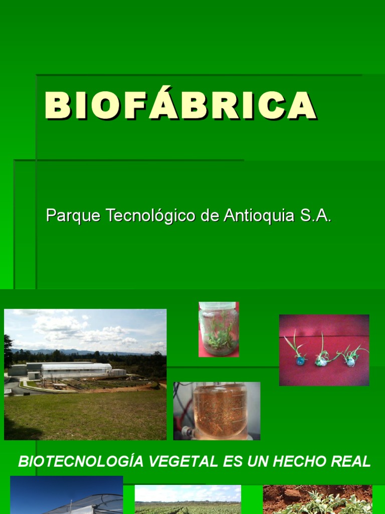 Presentacion Biofabrica | PDF | Biotecnología | Competitividad