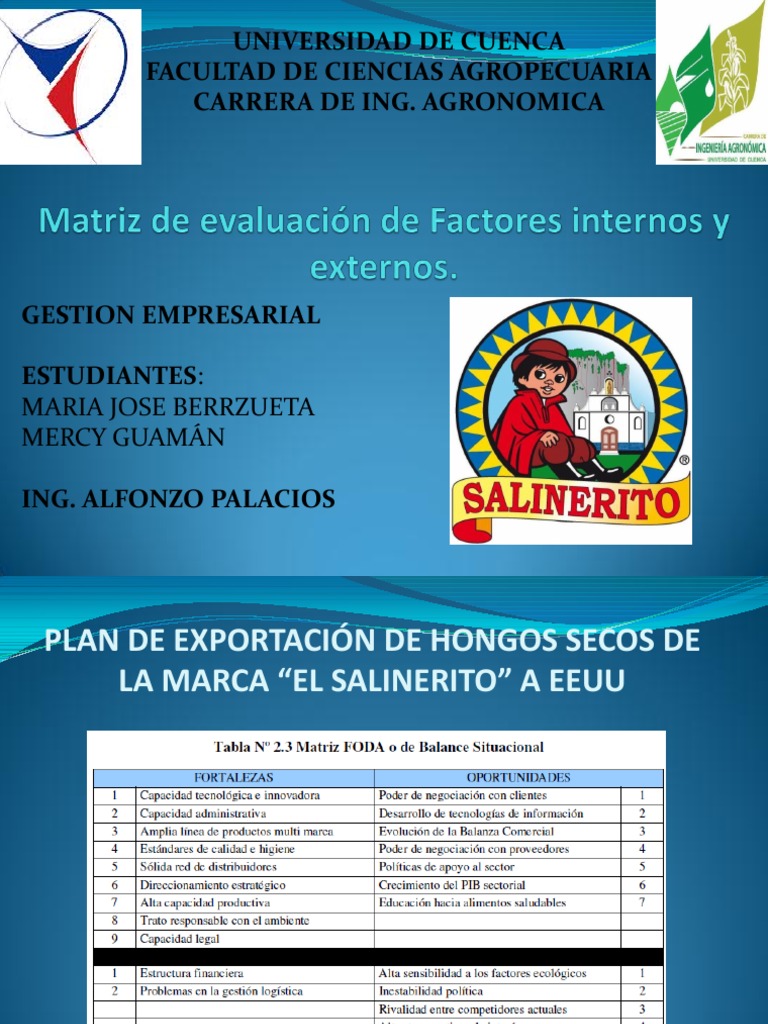 Matriz de Evaluación de Factores Internos y Externos | PDF | Análisis FODA | Business