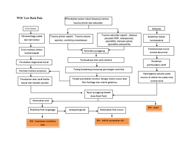 Woc Low Back Pain | PDF
