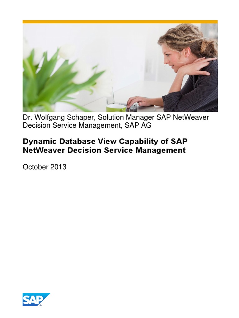 Dynamic Database View Capability of SAP NetWeaver Decision Service Management | PDF | Databases ...