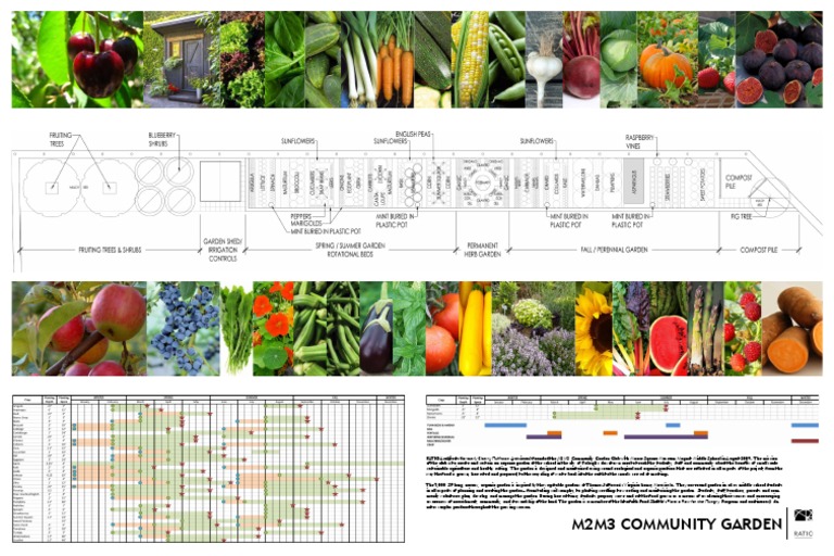 M2M3 Community Garden: Sustainable Education | PDF