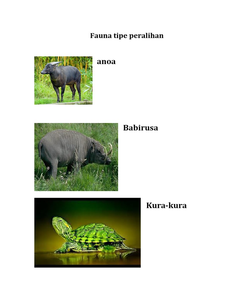 Fauna Tipe Peralihan | PDF