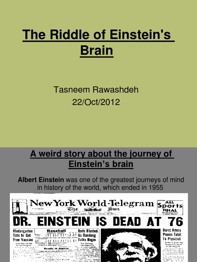 The Riddle of Einstein's Brain | PDF | Brain | Neuroscience