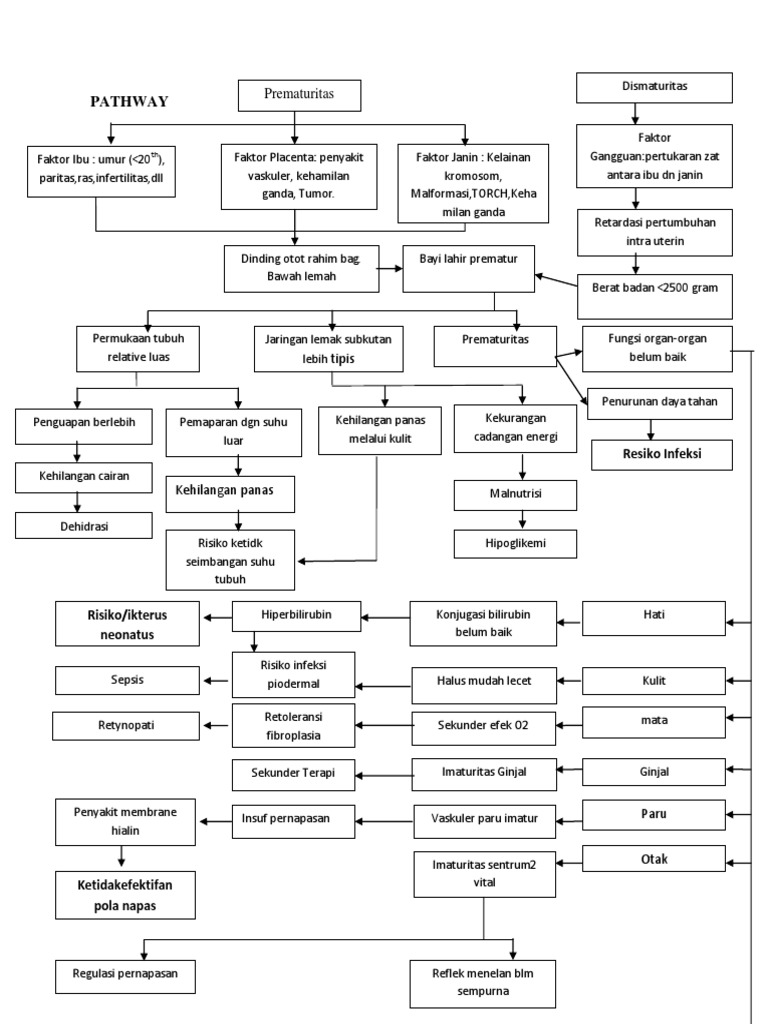 Pathway BBLR | PDF | Kesehatan Holistik | Sains & Matematika