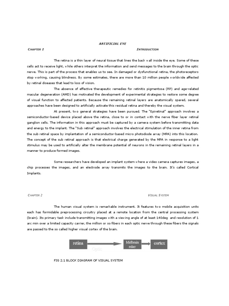 Artificial Retina Restores Vision | PDF | Retina | Visual System
