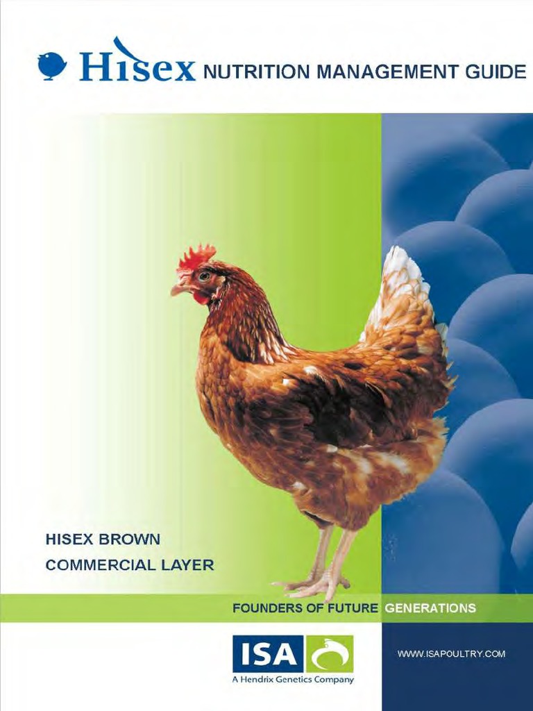 Nutrition Management Guide Commercials Hisex Brown Nieuw 1 | Nutrition ...