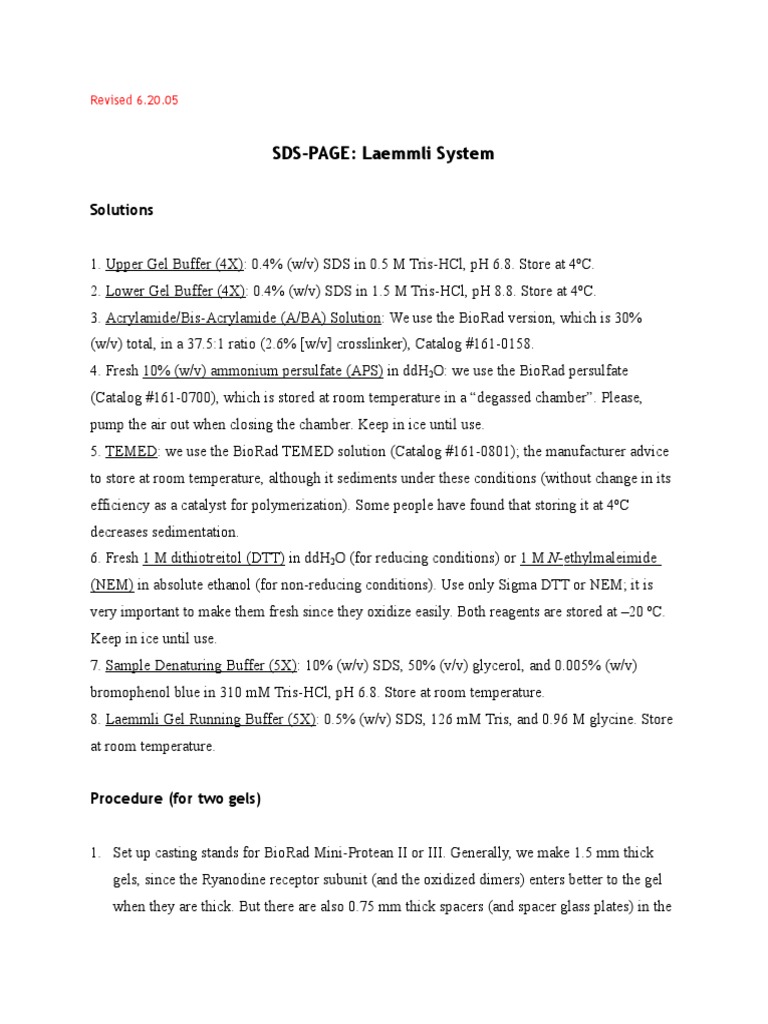 SDS-PAGE Laemmli System Protocol | PDF