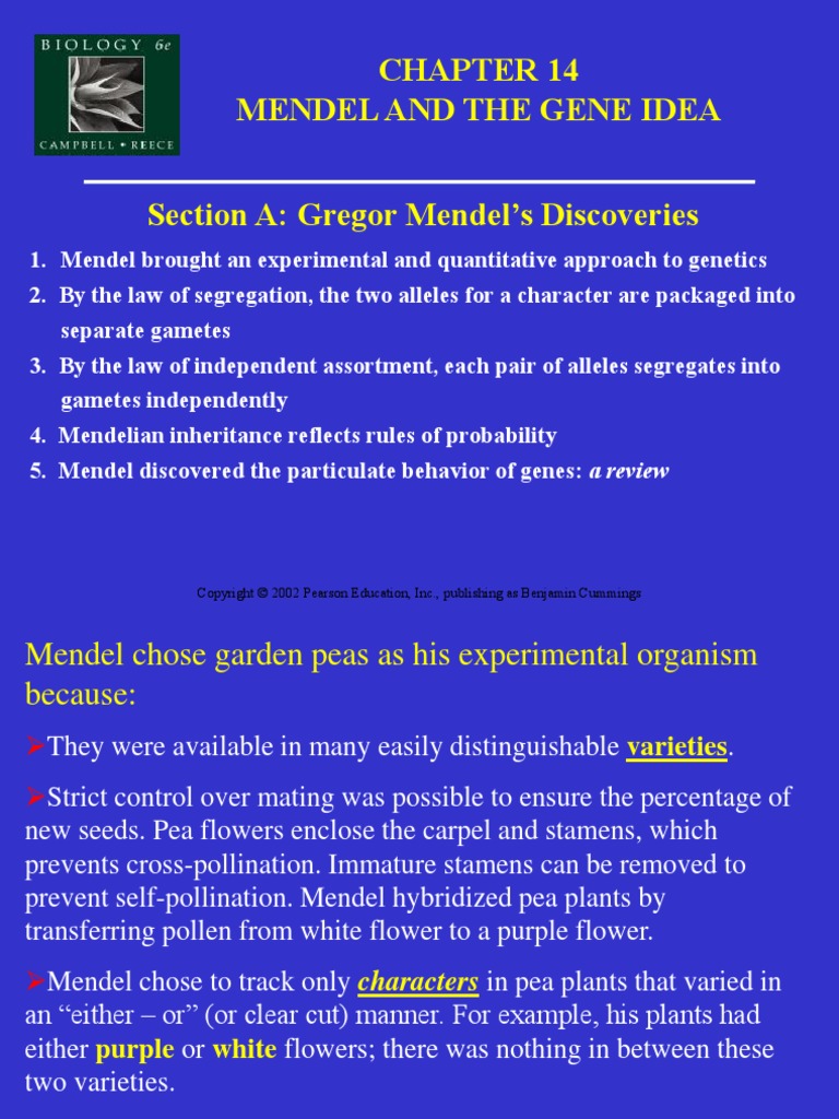 Mendel and The Gene Idea Section A: Gregor Mendel's Discoveries | PDF ...