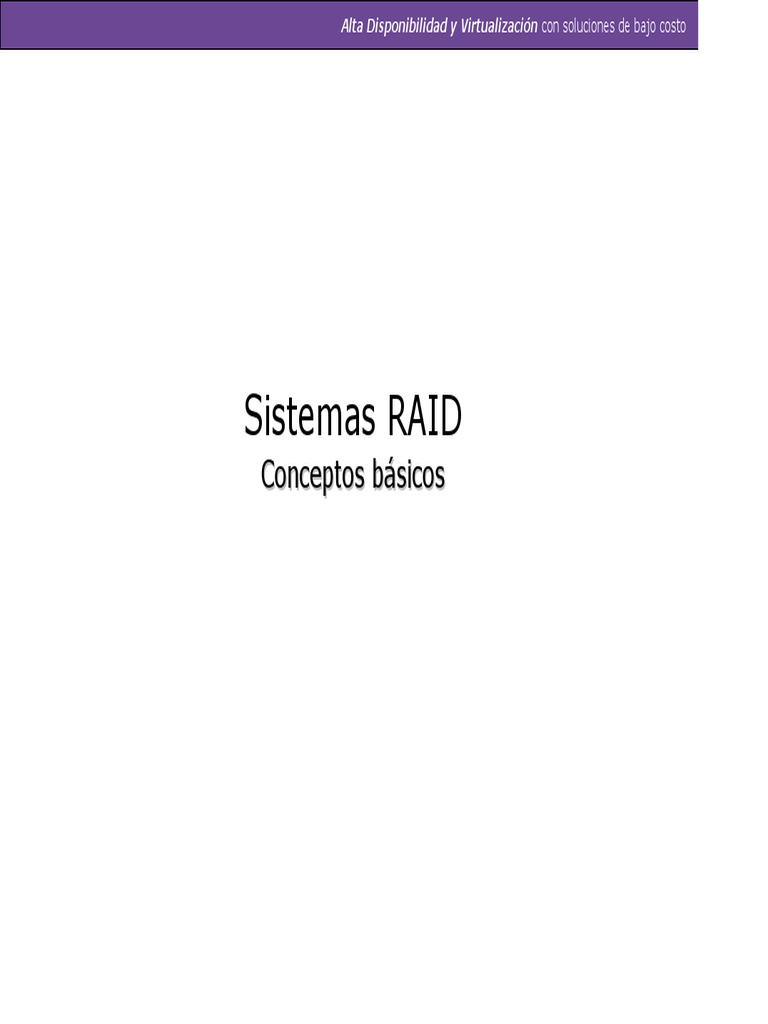 Sistemas RAID | PDF | Hardware de la computadora | Red de computadoras