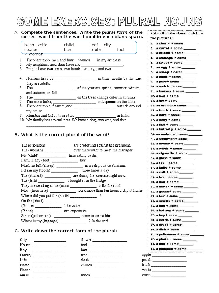 Plural Form Exercises for ESL Students | PDF | Language Arts & Discipline