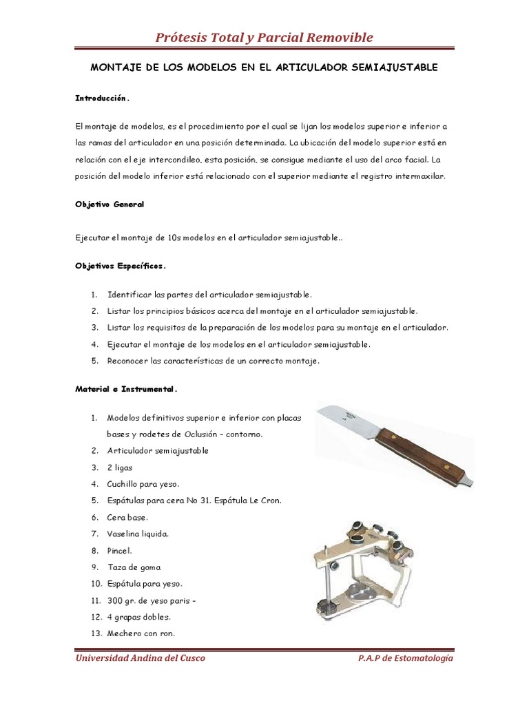 Protesis Total y Parcial Removible Montaje de Modelos en Articulador ...