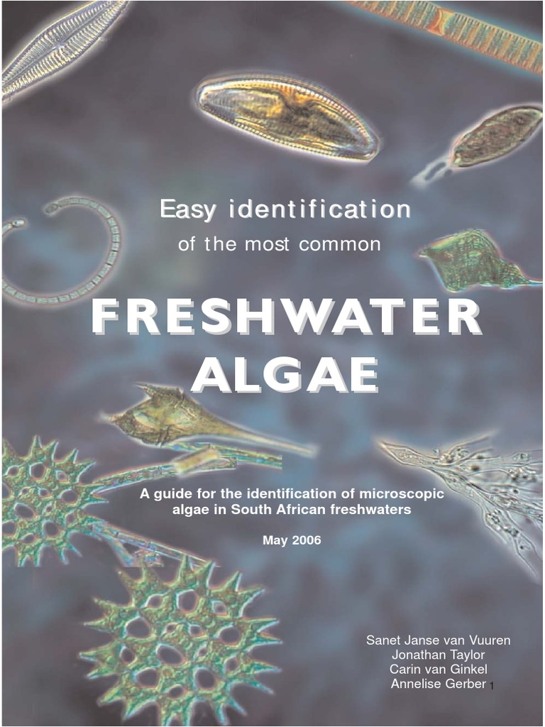 Freshwater Algae Identification
