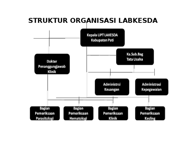 Struktur Organisasi Labkesda 2 | PDF