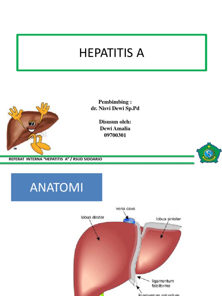 Ppt Hepatitis A