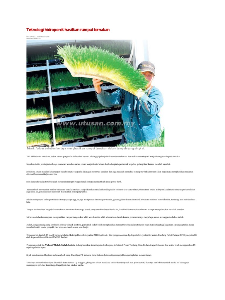 Teknologi Hidroponik Hasilkan Rumput Ternakan | PDF