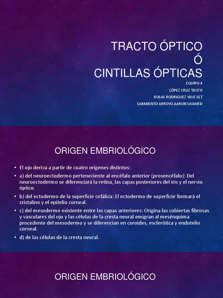 Tracto Óptico | PDF | Percepción visual | Ojo humano