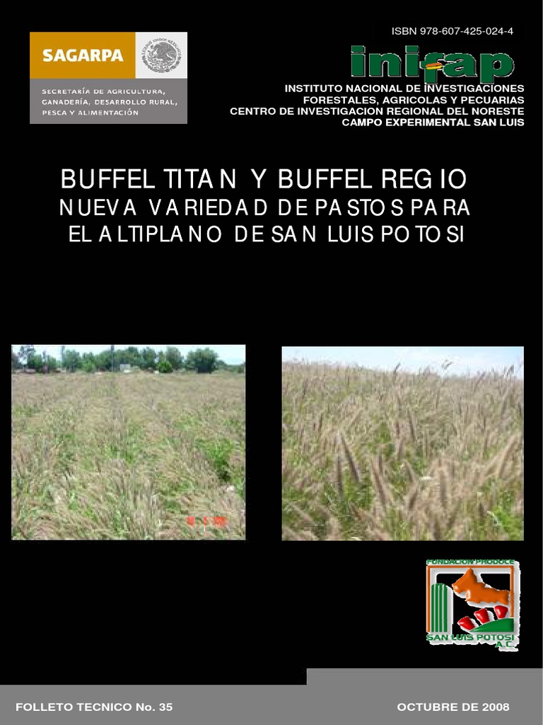 Nuevas Variedades de Pasto Buffel | PDF | Siembra | Suelo