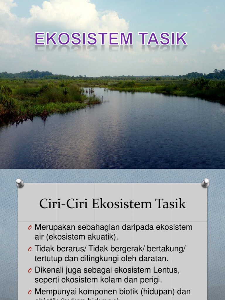 Ekosistem Tasik | PDF
