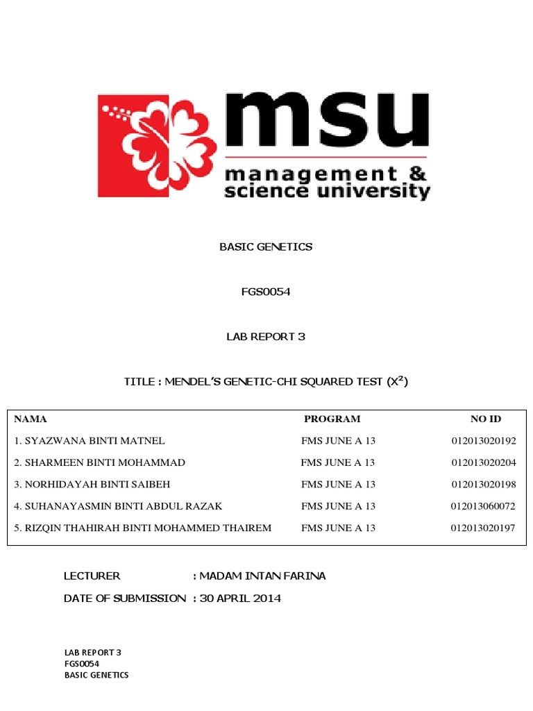 Basic Genetics Lab Report 3 Tmmorow | PDF | Genetics | Biology