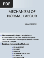 Physiology of 1st Stage of Labour | PDF | Uterus | Childbirth