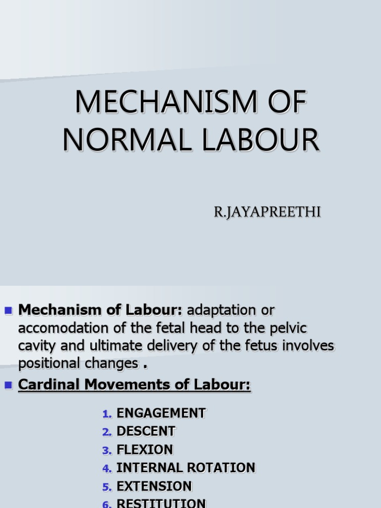 Mechanism of Normal Labour | Pelvis | Anatomical Terms Of Motion