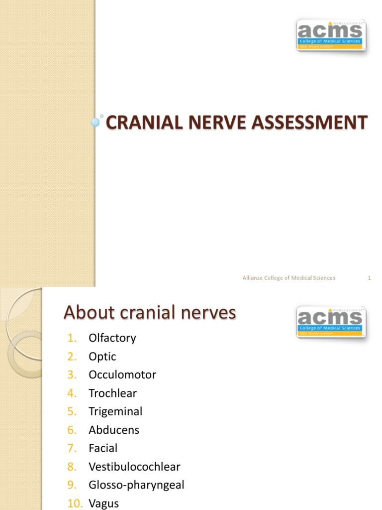 Cranial Nerve Assessment | PDF | Ear | Human Head And Neck