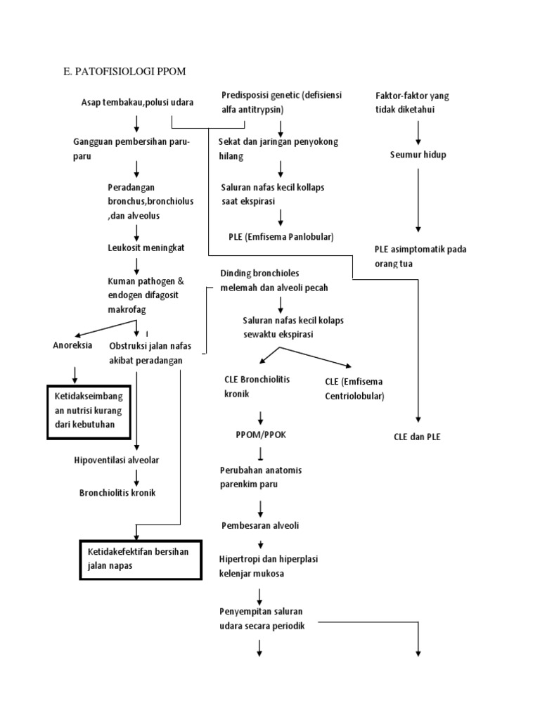 PJBL Ppok Pathway | PDF