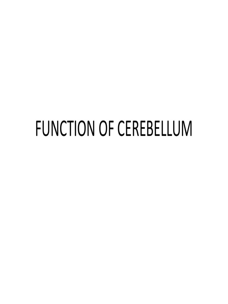 Function of Cerebellum | PDF | Cerebellum | Zoology