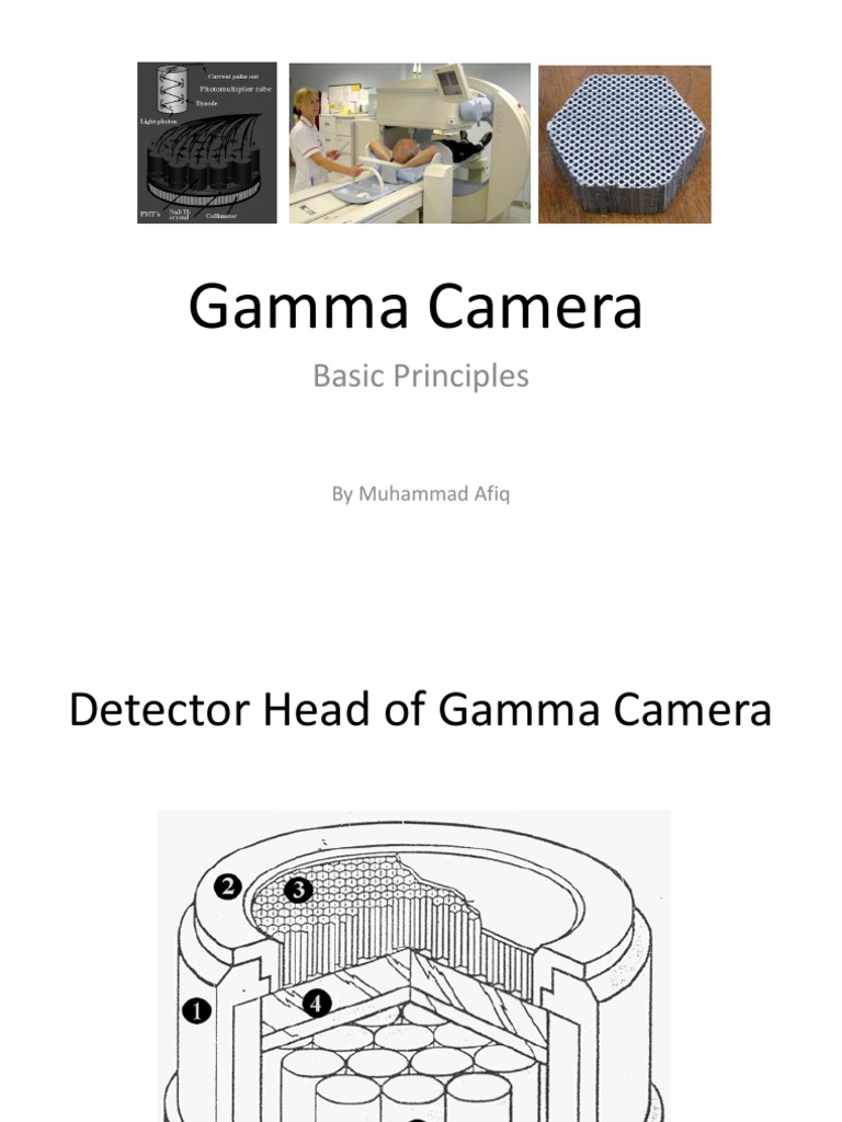 Basic Principle of Gamma Camera (Detector Head) | PDF