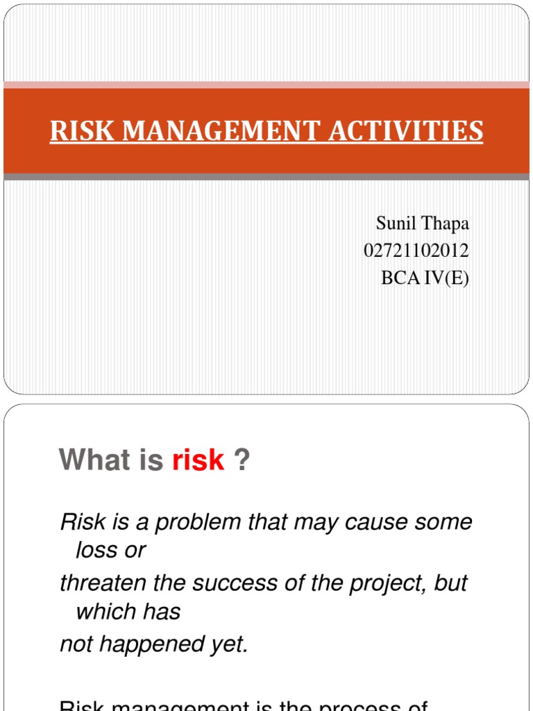 Effective Risk Management Activities | PDF