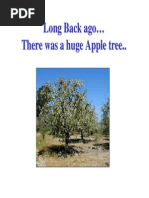 ASL Timber Story: The Deaf Tree | PDF