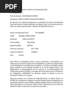 Ejemplo Comprobante NSS | PDF | Seguro | Gobierno