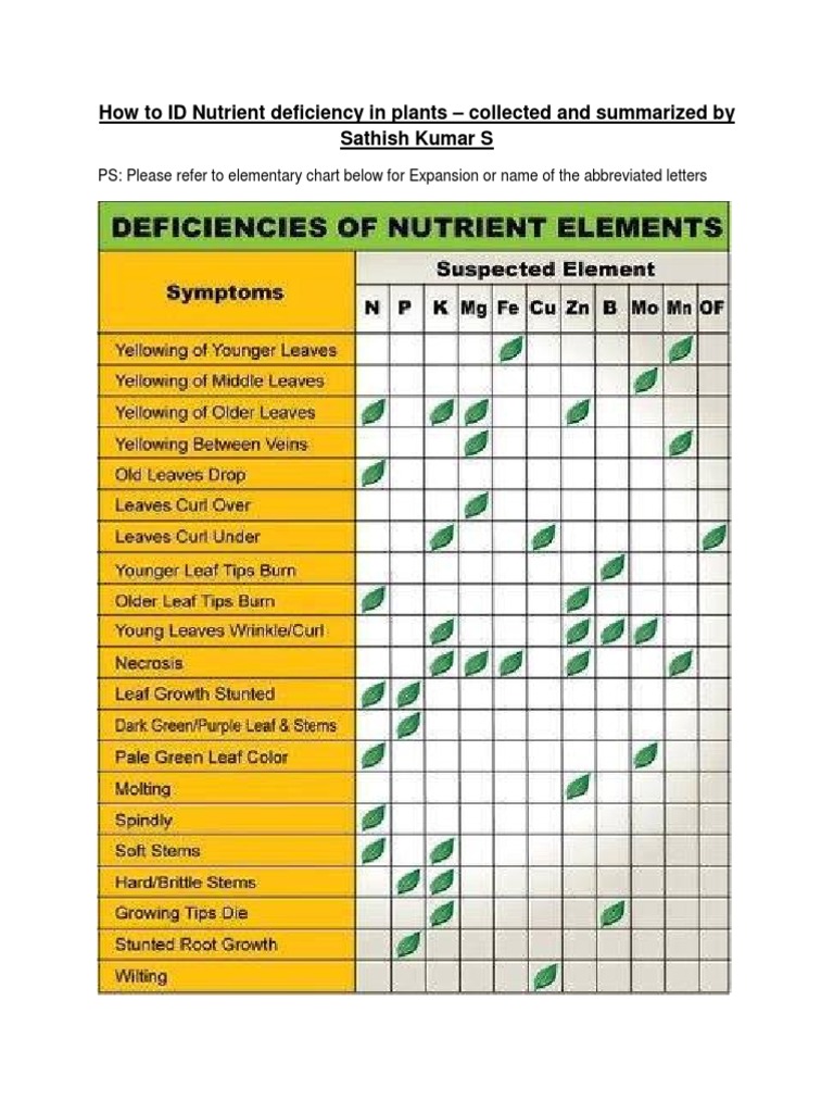 Understanding Nutrient Deficiencies in Plants: A Comprehensive Guide to ...