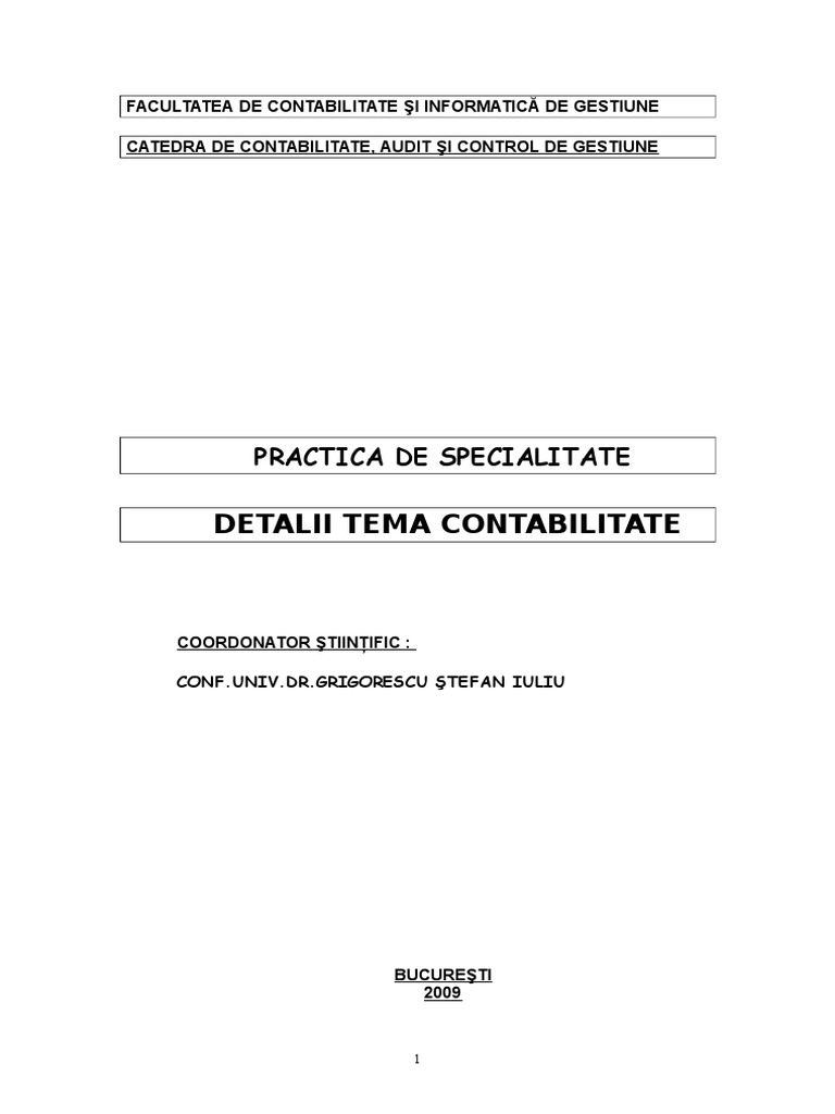 Practica de Contabilitate Detalii