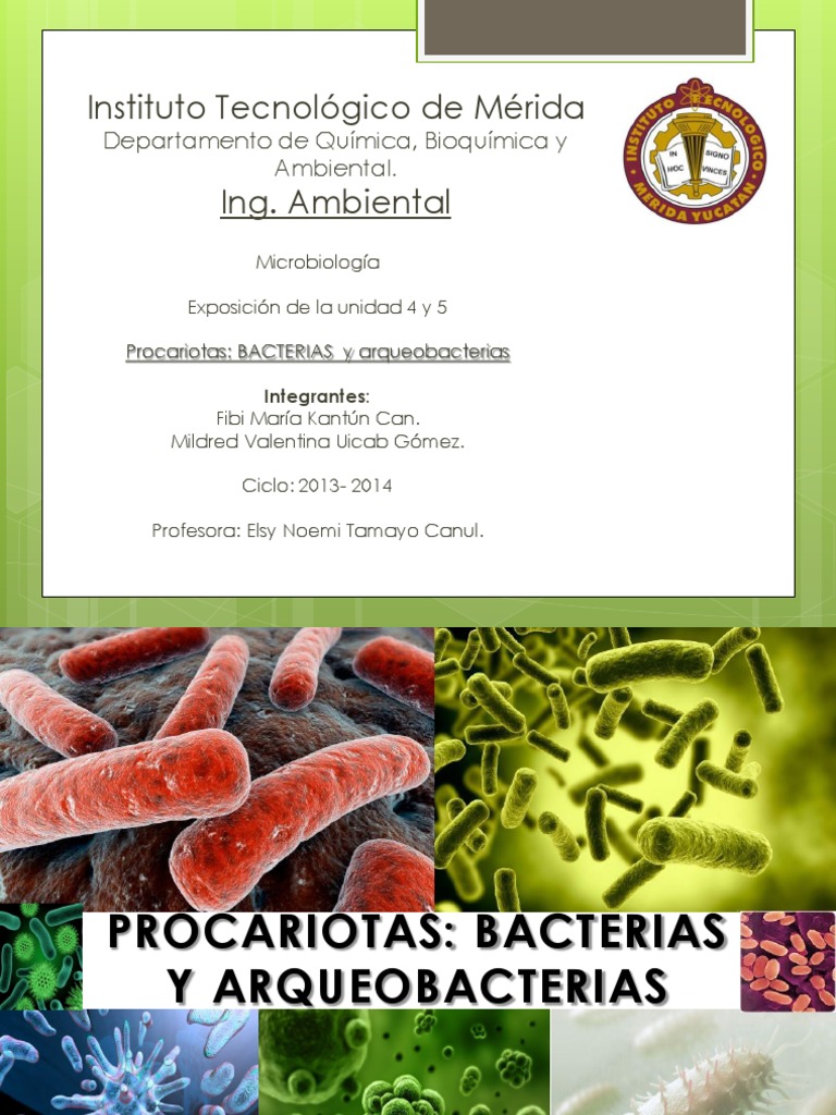 Bacterias y Arqueobacterias | Las bacterias | Archaea
