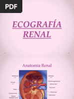 Ecografía Del Riñón Normal | PDF | Riñón | Abdomen
