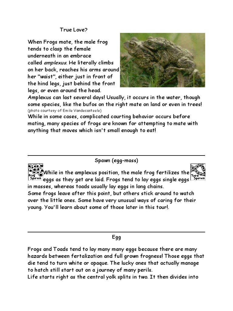 Life Cycle of A Frog | PDF | Frog | Egg