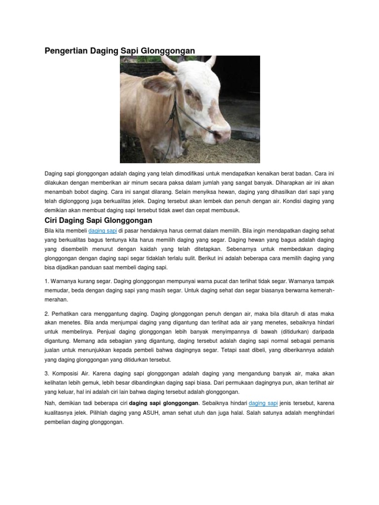 Pengertian Daging Sapi Glonggongan Daging Ayam | PDF