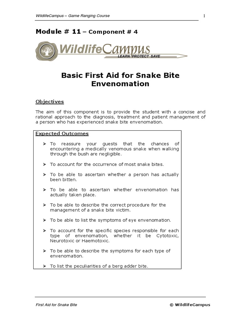 First Aid For Snake Bite | PDF | Snake | Venom