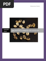 El Oráculo Del Coco | PDF | Religión y creencia