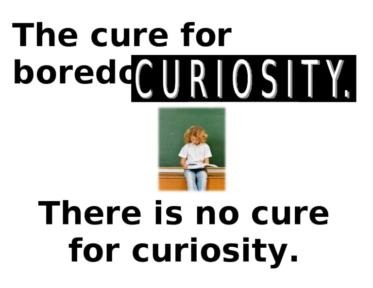 Curiosity Poster | PDF