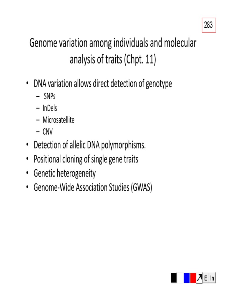An In-Depth Exploration of Genetic Variation Detection Methods and ...