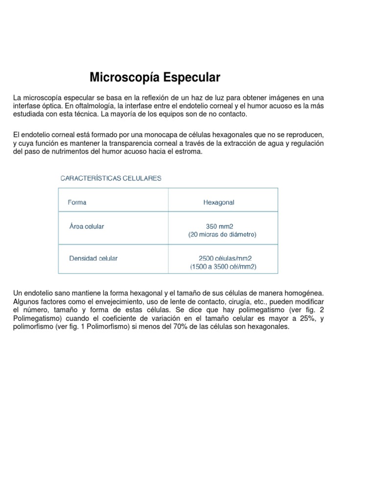 Microscopia Especular | PDF | Córnea | Especialidades Medicas