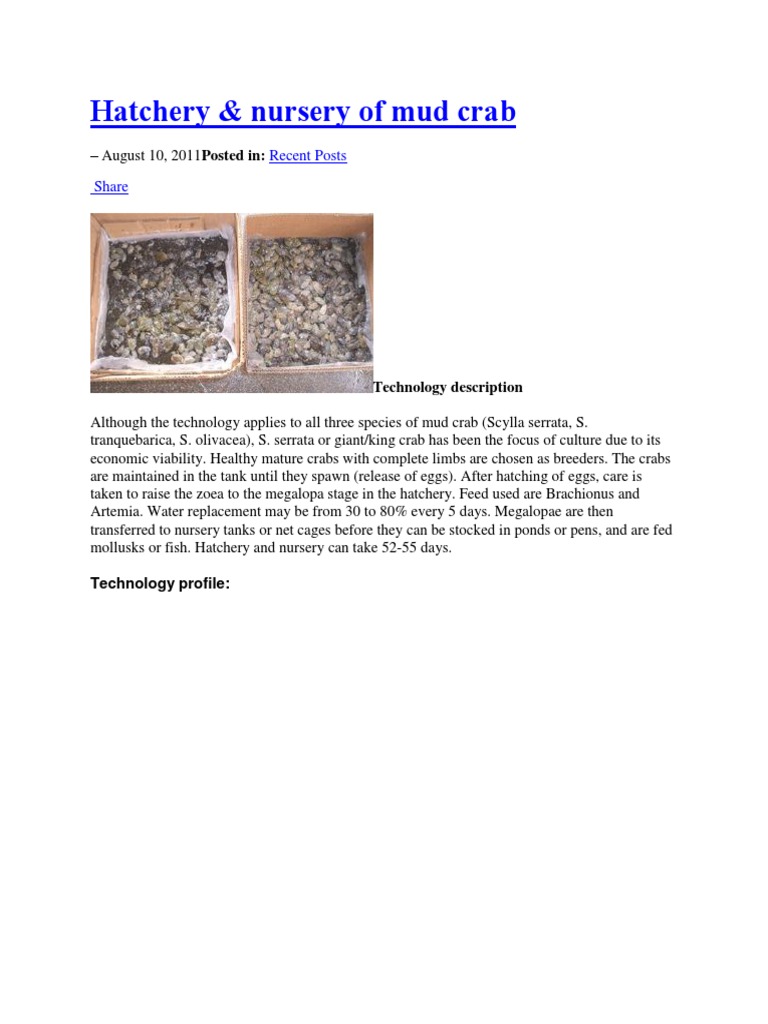 Hatchery & Nursery of Mud Crab | Crab | Spawn (Biology)