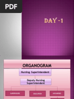 Nursing Induction PPT 2 | PDF | Medical Record | Patient